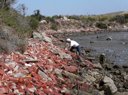 Collecting Bricks - California Bricks